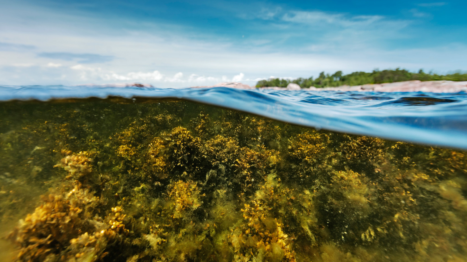Expertise in marine environment protection from Metsähallitus - Baltic ...