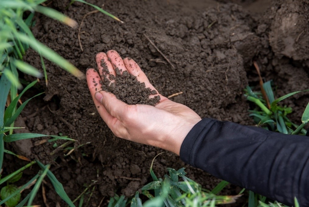 International soil cooperation for improved visibility and impact