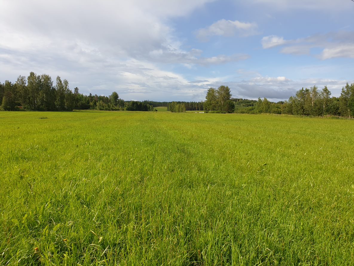 Farmer-driven development of adaptive farming methods