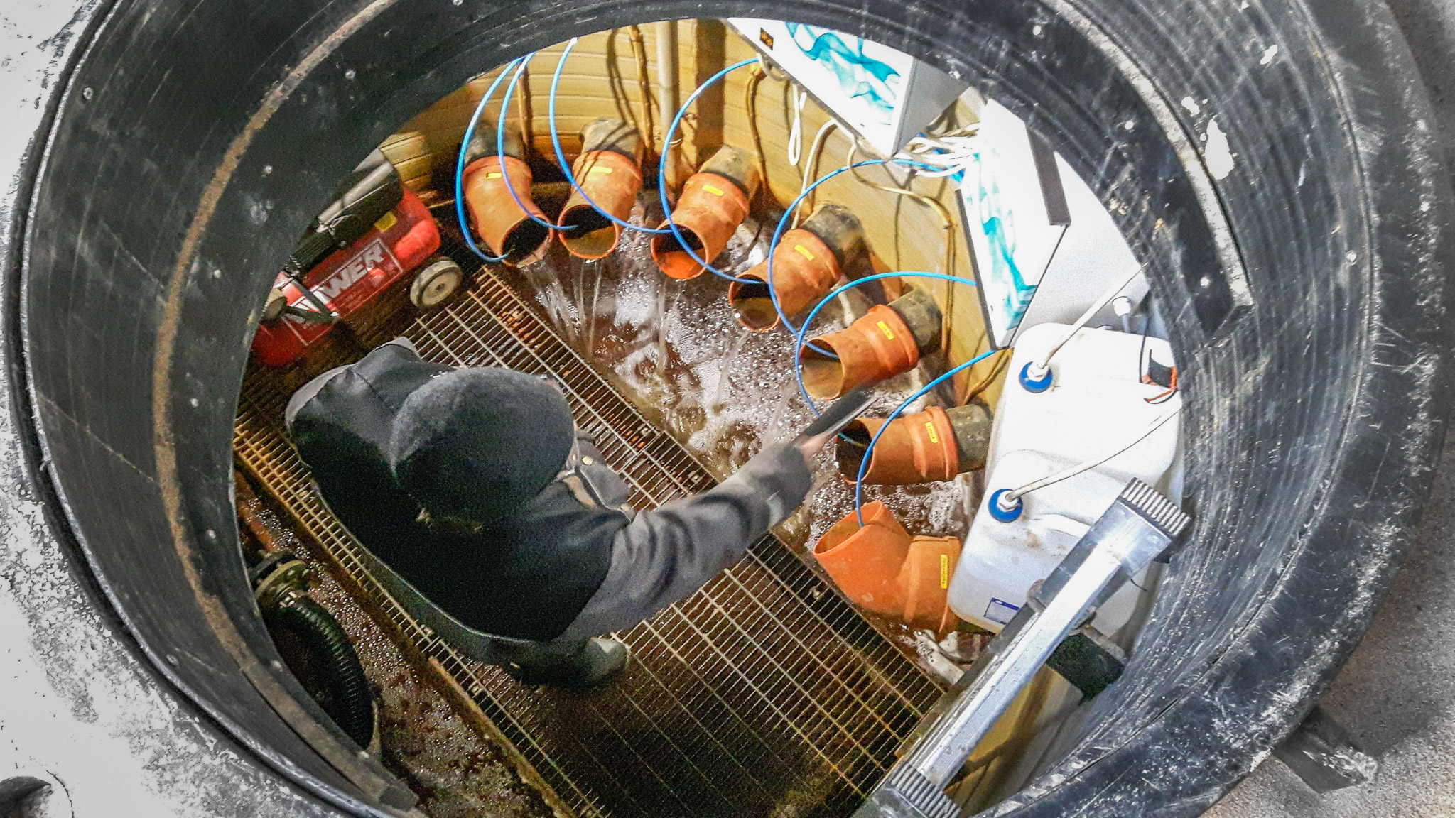 Berner - Baltic Sea Action Group