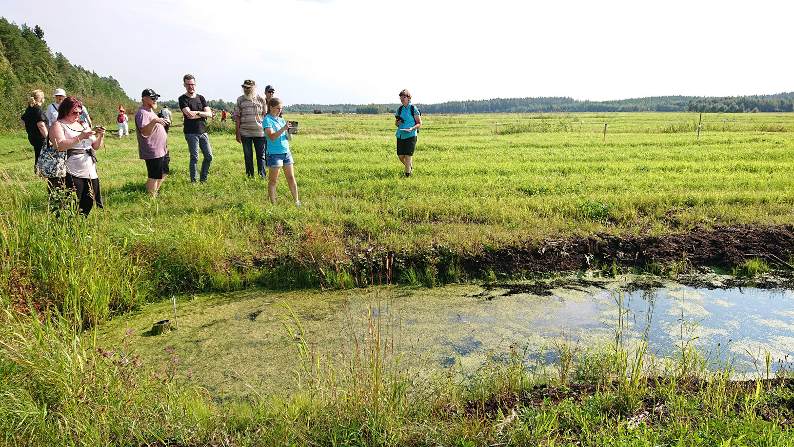 Is Paludiculture a Solution to Organic Soil Emissions? Highlights from the Ruukki Field Day ...