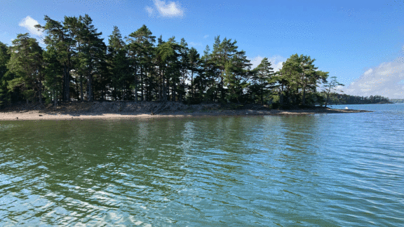 Sukellus Stora Fagerön merialueen pinnan alle paljasti harvinaisen ...